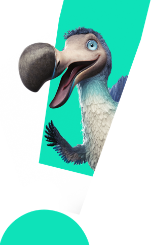 Dodo: NBN Providers | Internet | Mobile | Energy